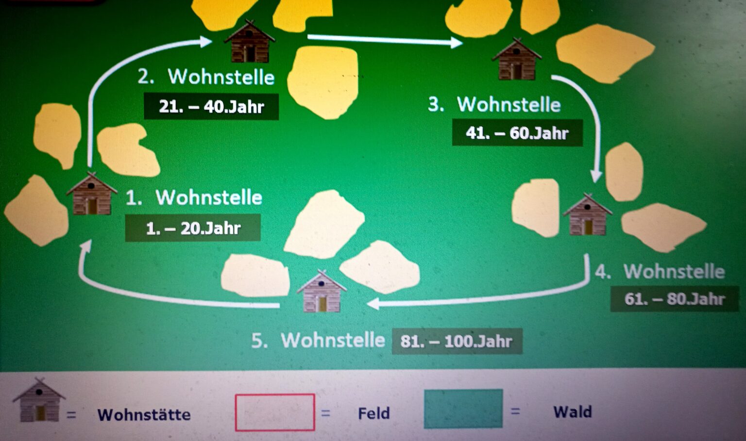 Wilde Wälder - winzig: Tiny Forests & Co. - Gottfried Liedl